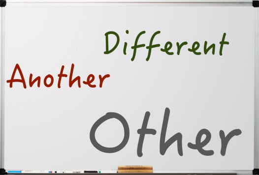 The Difference Between another other And different 